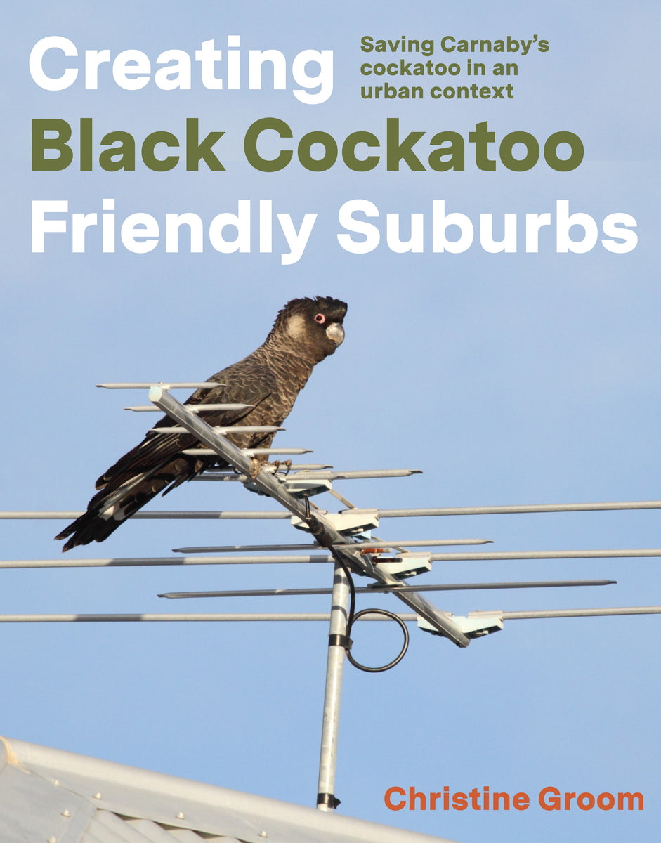 Creating Black Cockatoo Friendly Suburbs – UWA Publishing